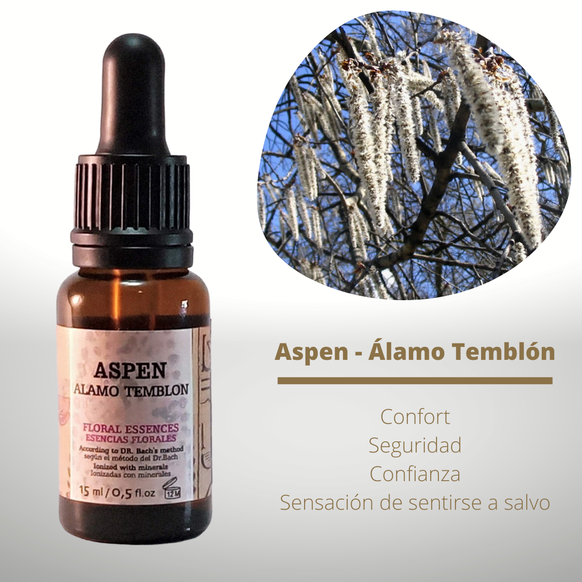Aspen 【The 38 original Bach Flowers】3x2 in GOLDEN PYRAMIDE
