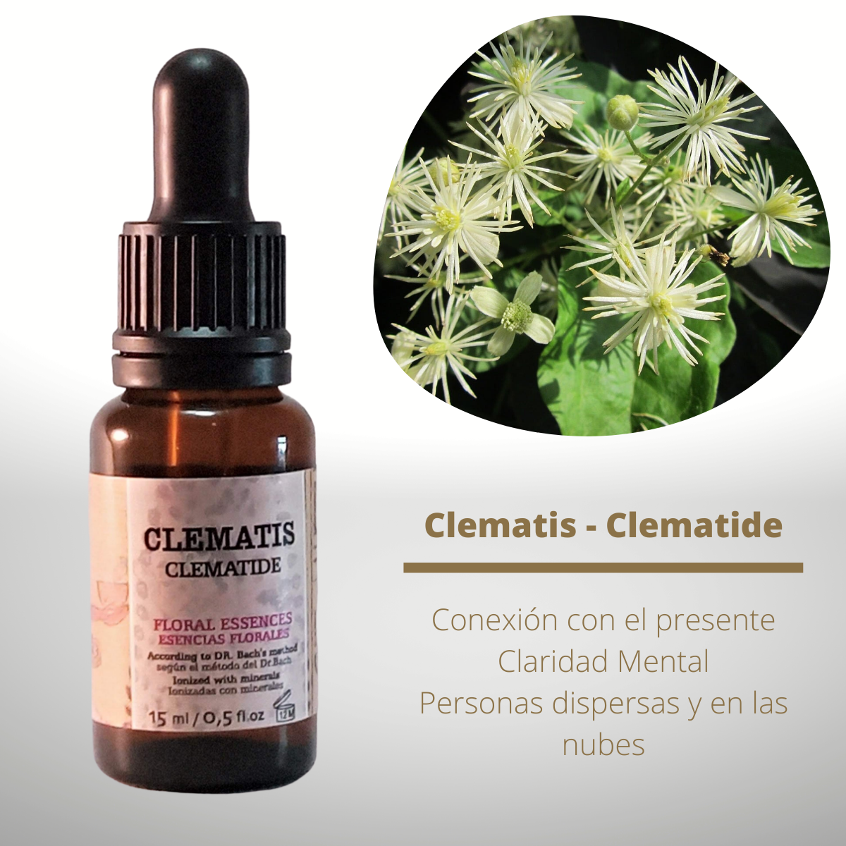 Clematis【Las 38 Flores de Bach originales】3x2 en GOLDEN PYRAMIDE