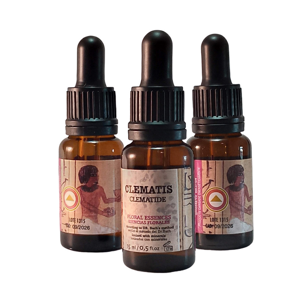 Clematis【Las 38 Flores de Bach originales】3x2 en GOLDEN PYRAMIDE