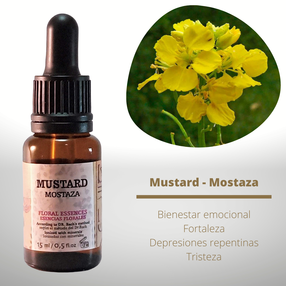 Mustard【Las 38 Flores de Bach originales】3x2 en GOLDEN PYRAMIDE