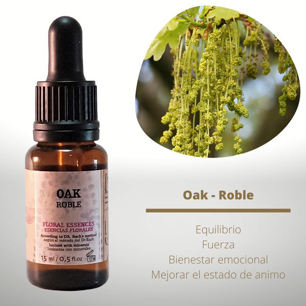 Oak 【Las 38 Flores de Bach originales】3x2 en GOLDEN PYRAMIDE