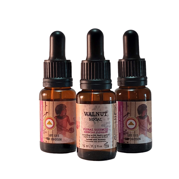 Walnut 【The 38 original Bach Flowers】3x2 in GOLDEN PYRAMIDE